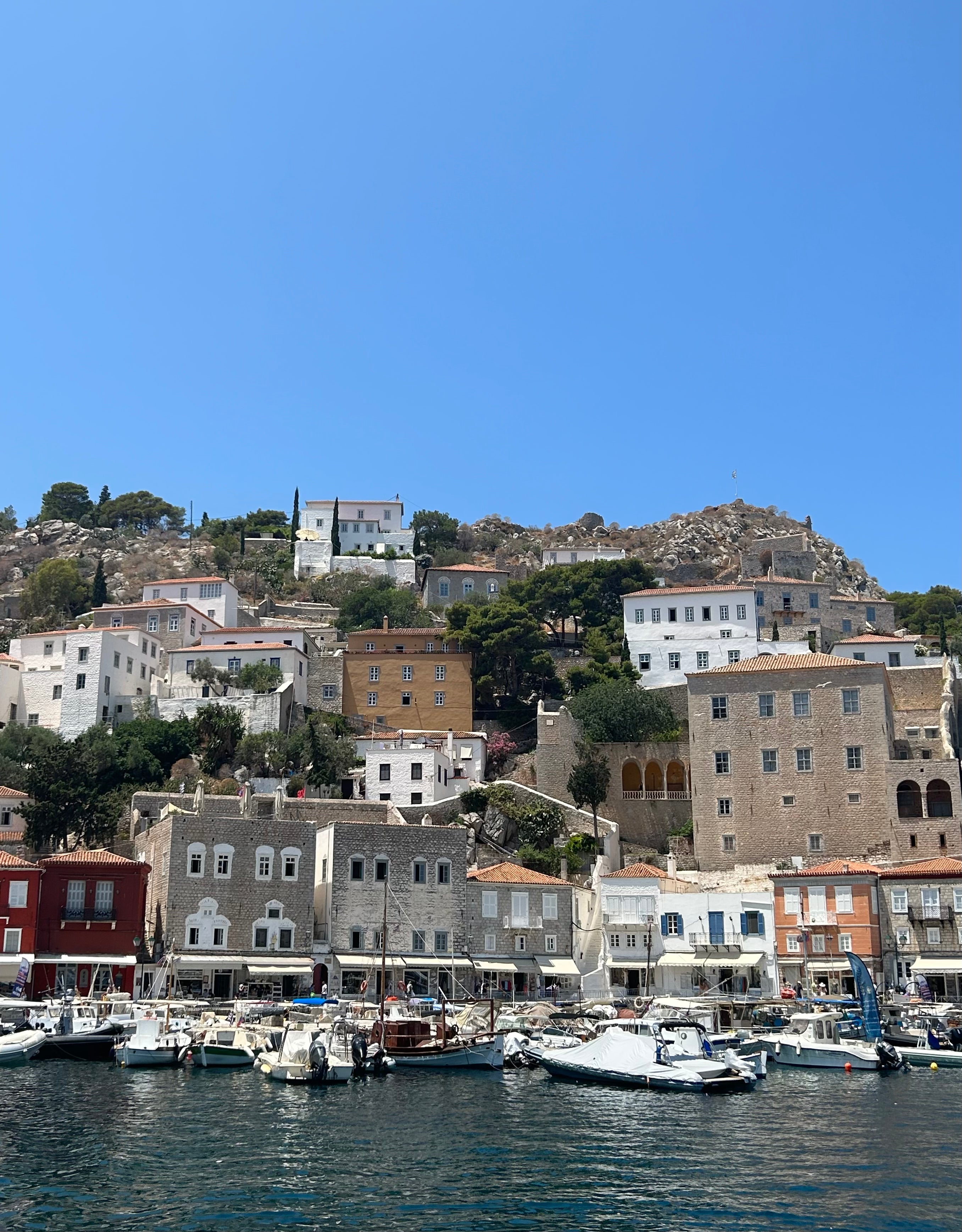 Founder Diaries: Katia's Guide to Hydra – ILIO NEMA